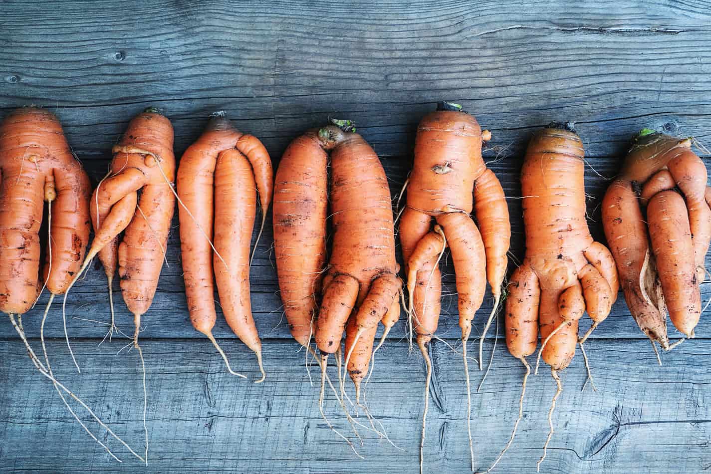 Germinate & Grow Carrots in Hot Weather Using This Simple Trick