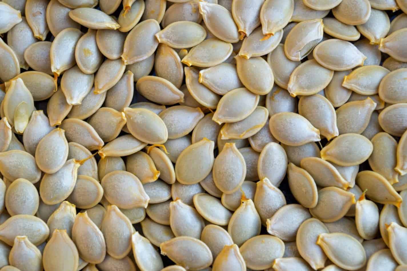 Saving Zucchini Seeds - A Step-By-Step Guide