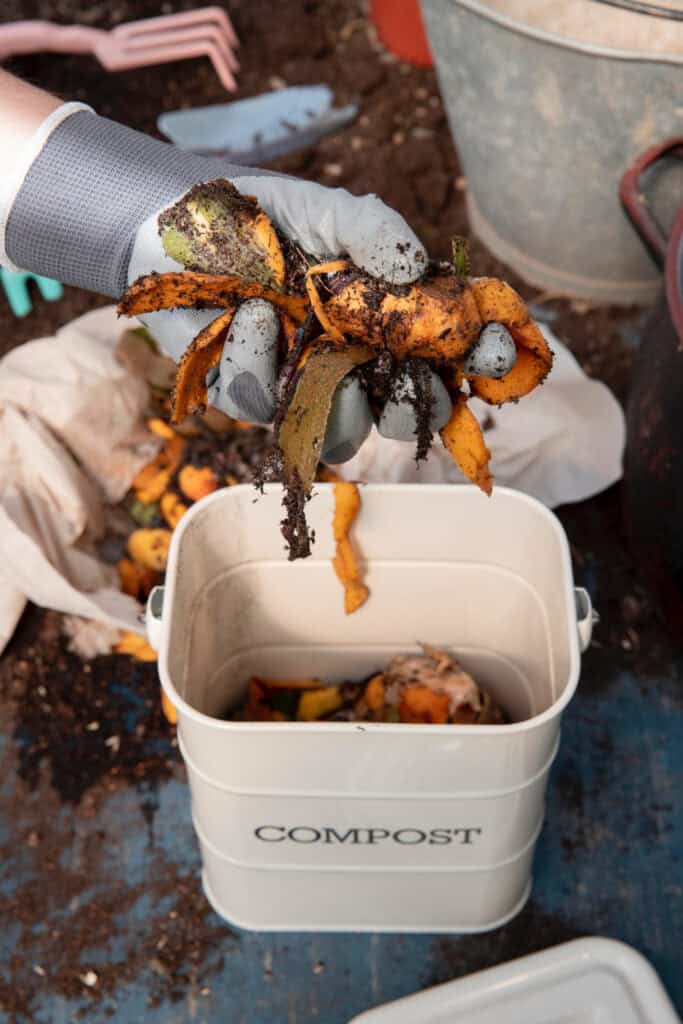 What To Put In A Compost Bin? - Beginner’s Guide!