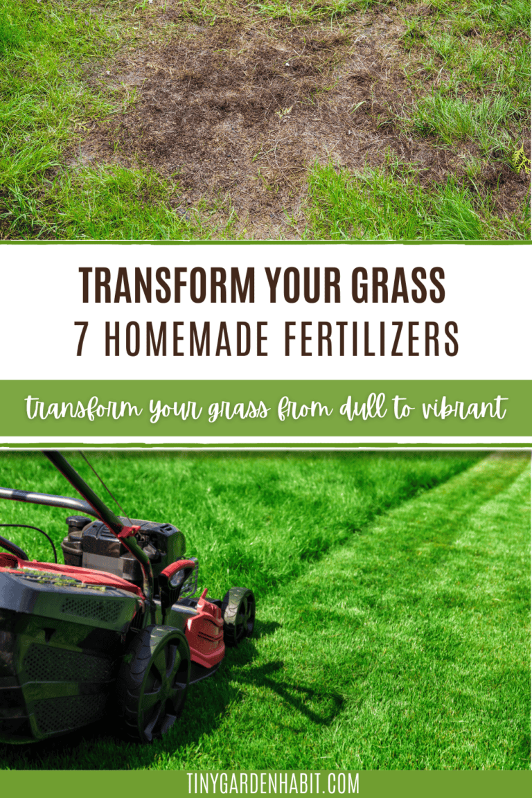 Green Your Lawn Naturally: 7 Homemade Fertilizers You Can Make Today