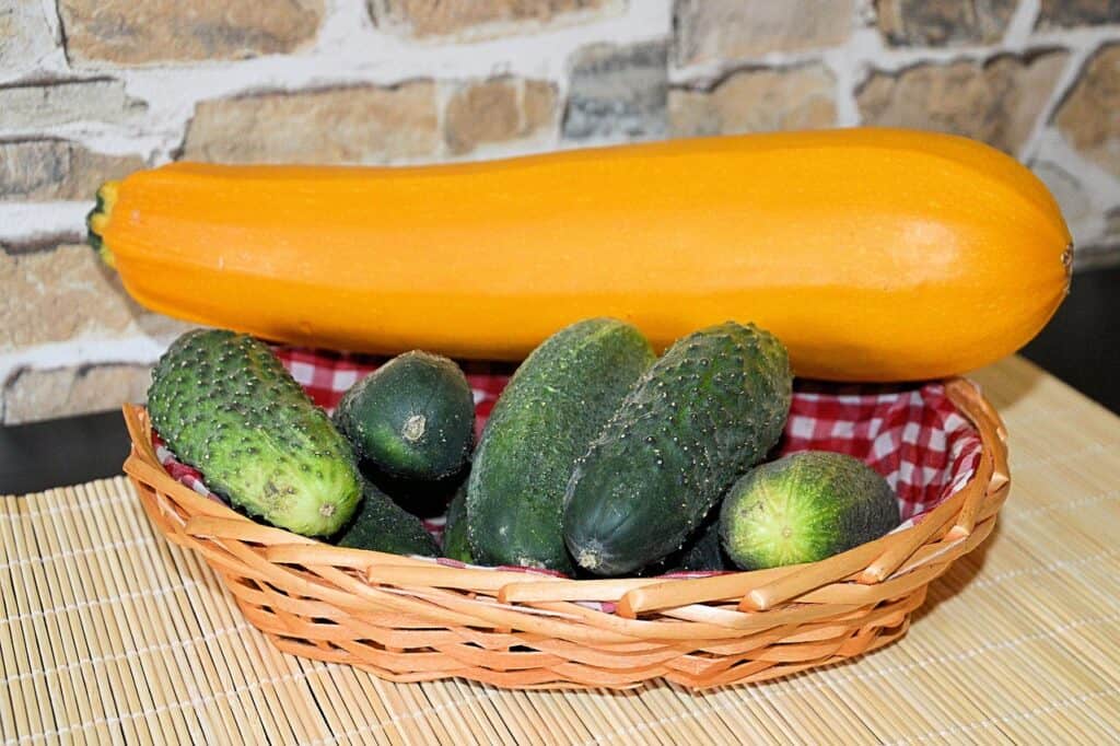 Here's Why Your Zucchini Is Rotting - And How To Fix It!