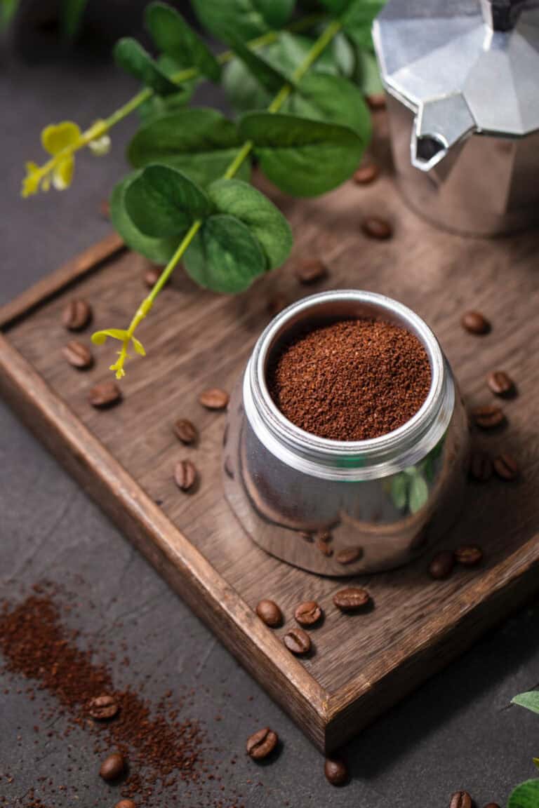 17 Plants That Thrive with Coffee Grounds – Boost Growth Naturally