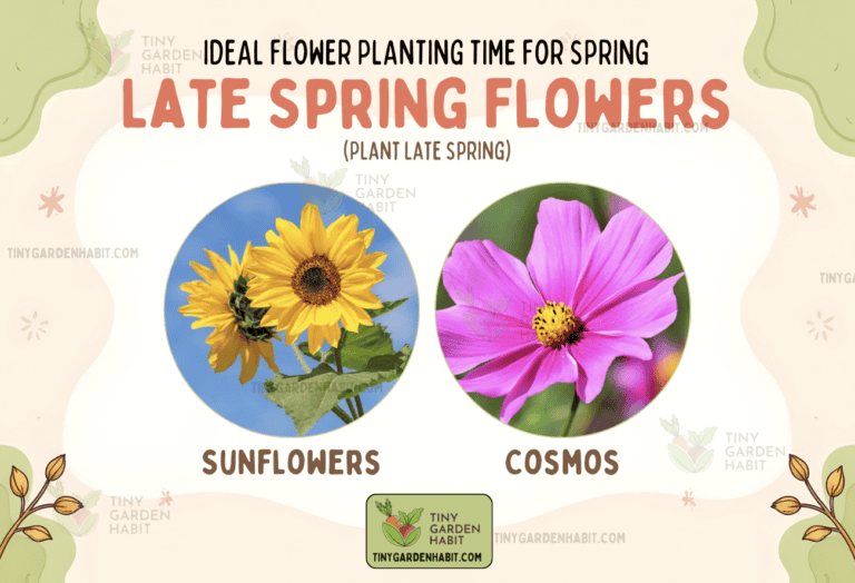 Ideal Flower Planting Time For Spring (Plus 11 Must-Grow Blooms!)