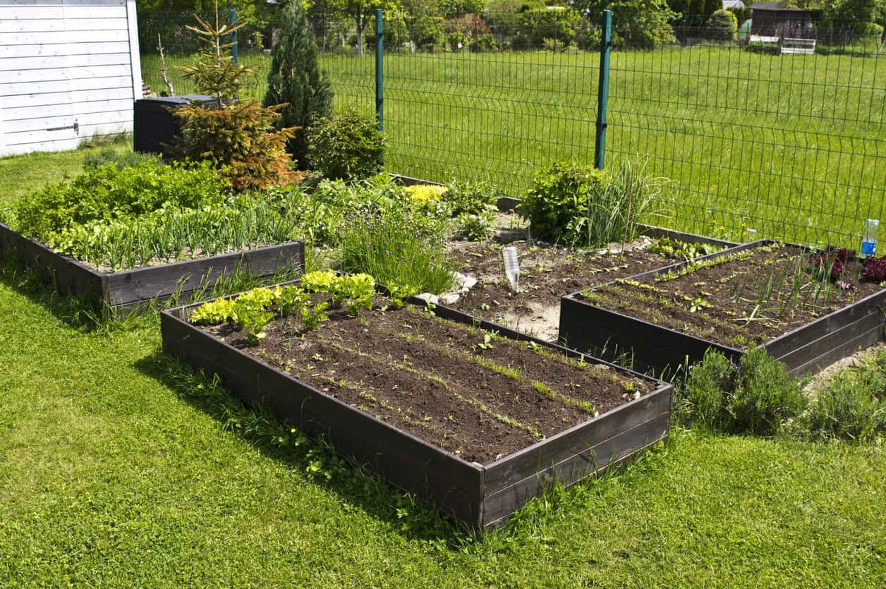 What To Plant In April? Best Vegetables By USDA Zone (Zones 1 - 13)