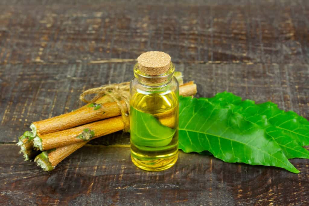 The Best Natural Garden Sprays For Pest Control – No Chemicals Needed