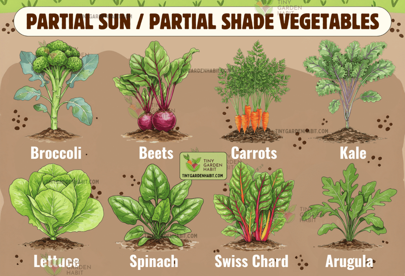 How Much Sun Do Vegetables Really Need? Easy Chart!