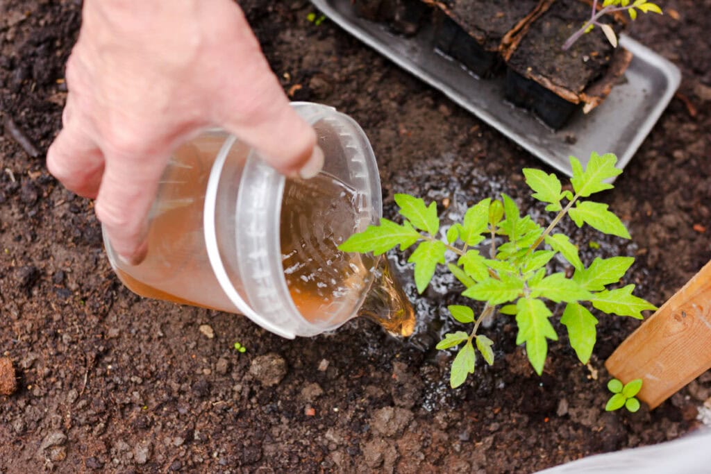 The Right Natural Fertilizer For The Right Plant: A Practical Garden Guide