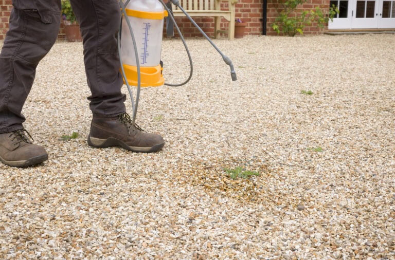10 Easy Homemade Weed Killer Recipes That Actually Work