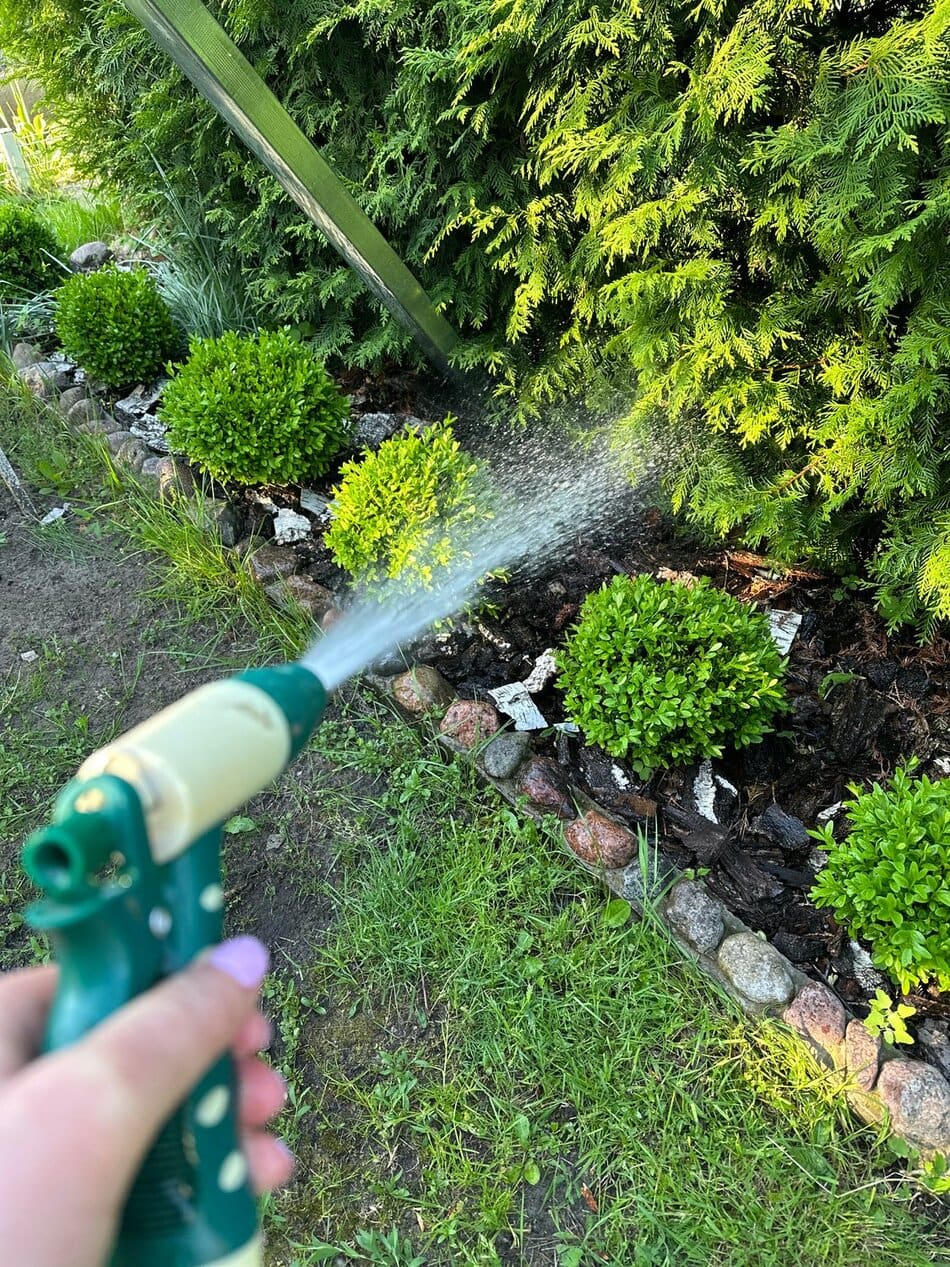 9 Plants You Should Water One Last Time Before a Freeze