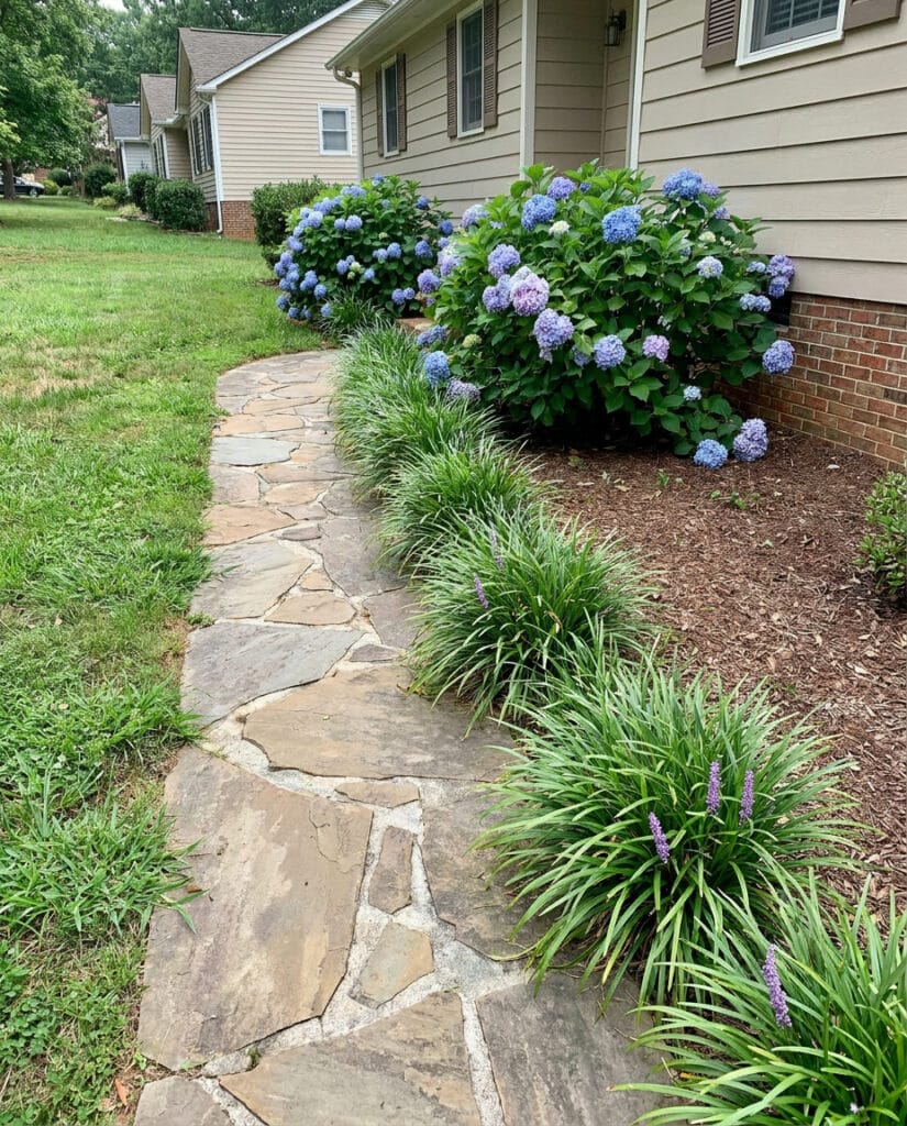 Hydrangea Landscaping Ideas for a Beautiful Yard